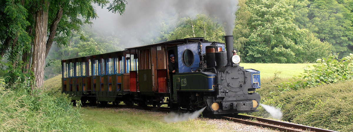 Train touristique | Le Parc des Combes