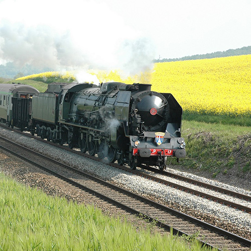 Train touristique | Le Parc des Combes